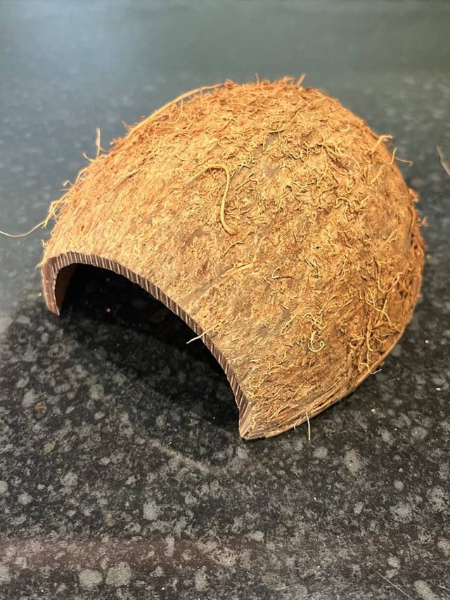 Coconut Hide